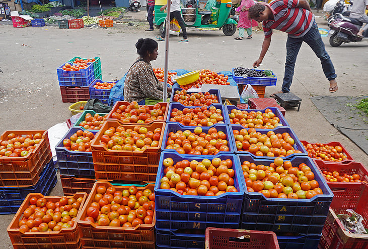 Tomato prices to touch Rs 85/kg in Karnataka if rain continues in North ...