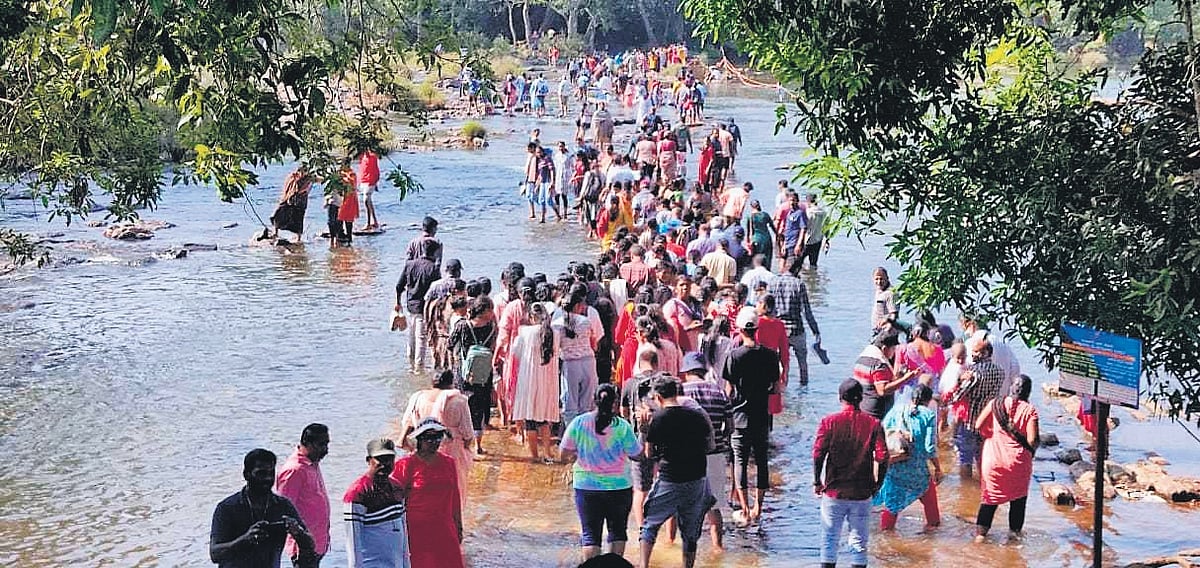Dubare camp closed to tourists after woman tourist crushed to death by ...