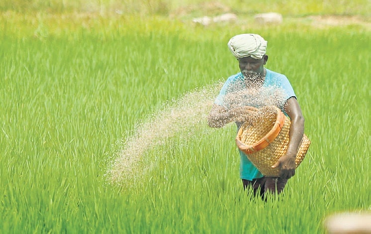 Farmers flay TN’s crop loan waiver announcement, walk out of meet