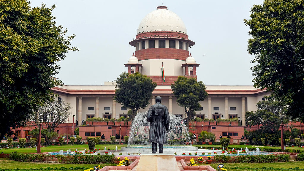 Forests must be protected across India, says Supreme Court in Jharkhand ...