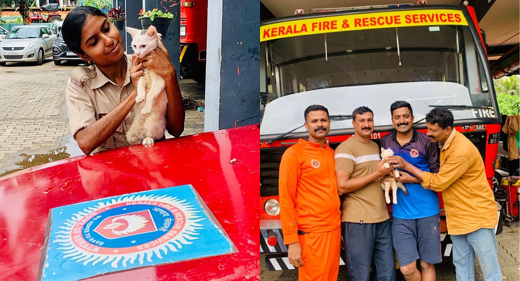 Wayanad landslides: Fire station adopts cat rescued from debris, other ...