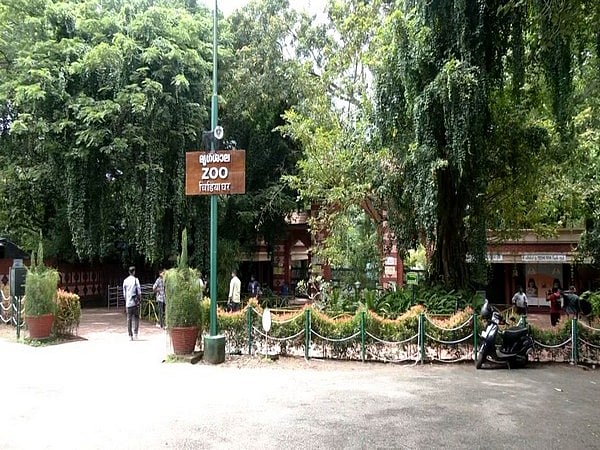 Hyena gives birth to two cubs in Thiruvananthapuram Zoo