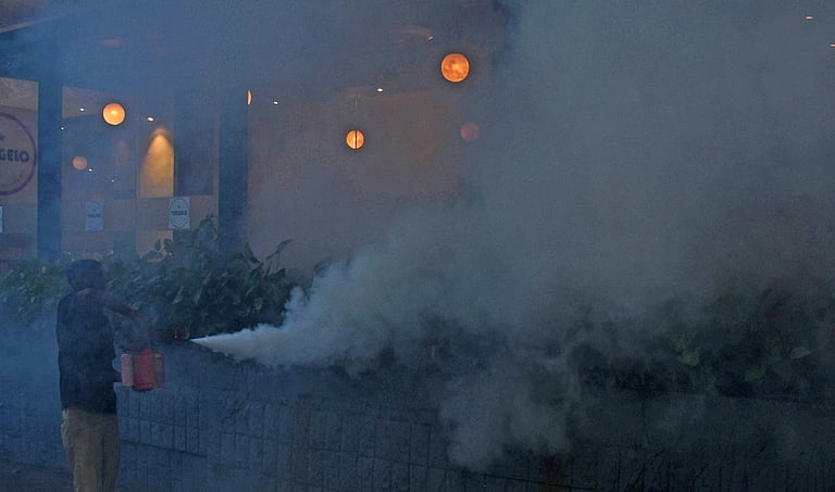 Mosquito menace in Bengaluru after Cyclone Fengal