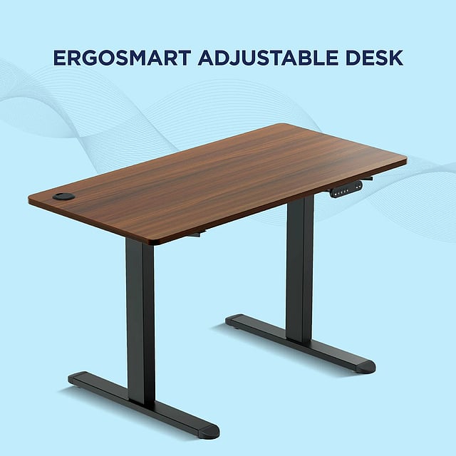 The 10 Best Standing Desks in India: