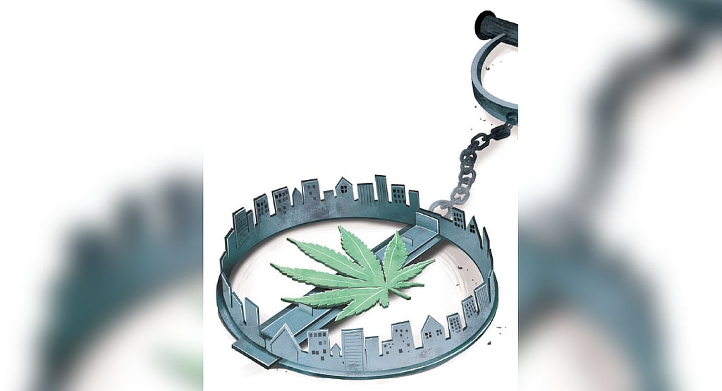 Harpooning a big ganja fish