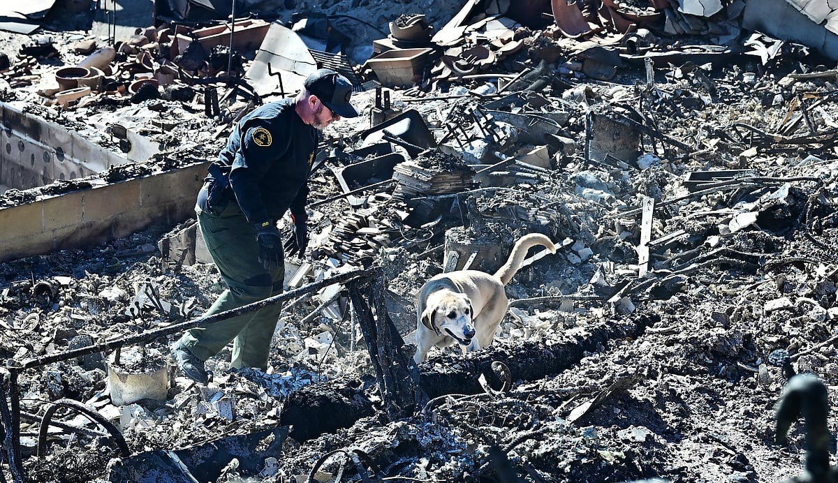 Death toll from Los Angeles fires rises to 24, with dangerous winds ...