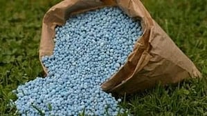 Fertiliser ministry seeks doubling of subsidy allocation amid price surge