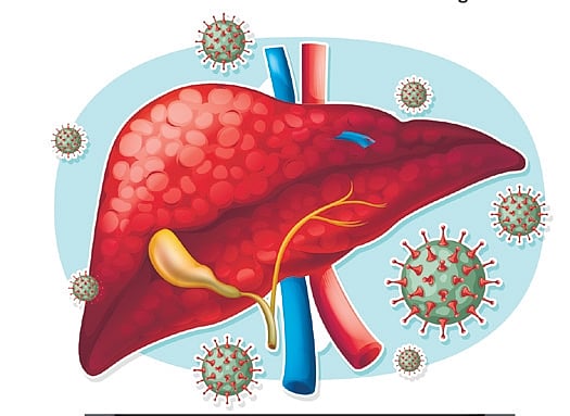 Andhra Pradesh: Konaseema village hit by Hepatitis, 28 cases identified ...