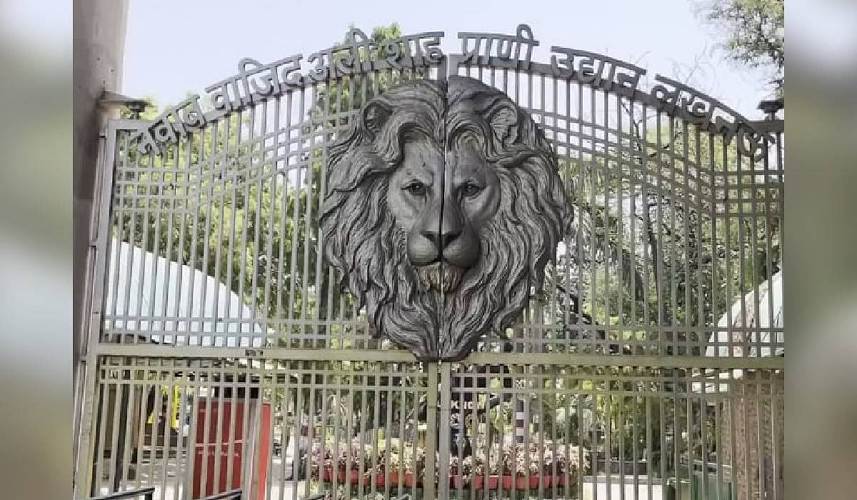 Bird flu scare deepens at Kanpur zoo as more animals fall ill; samples ...