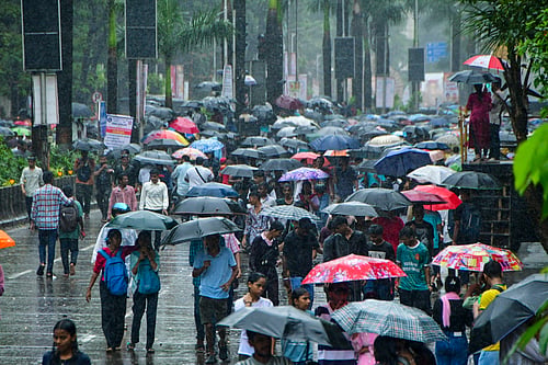 Mumbai reels under 177 mm rain in 8 hours; flights hit, schools shut as ...