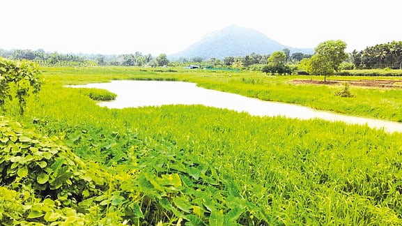 Construction halted at Jharkhand ‘Queen of Hills’