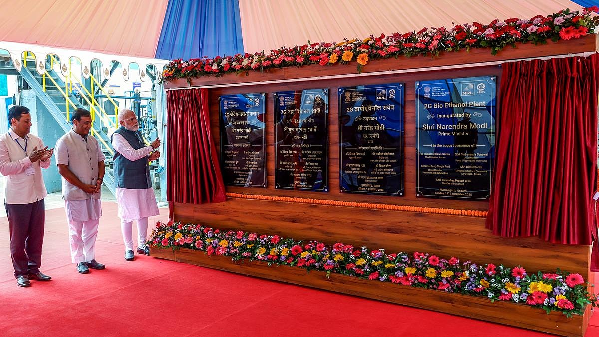 Numaligarh Refinery Limited banks on two local bamboo species to ...