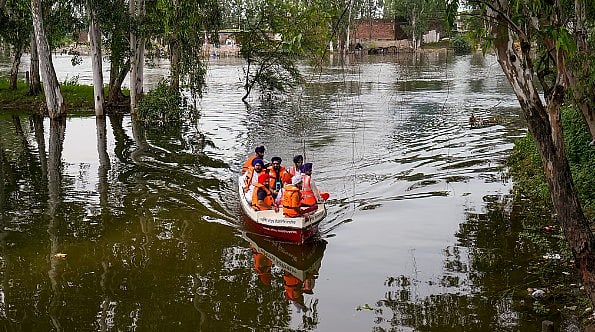 Punjab rebuilds: NGOs, NRIs, and celebrities lead massive flood relief ...