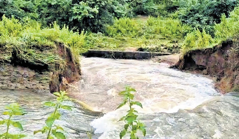 Kalahandi suffers damage after heavy rains