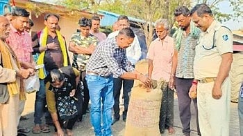 Paddy procurement resumes in Odisha's Bargarh as farmers call off stir