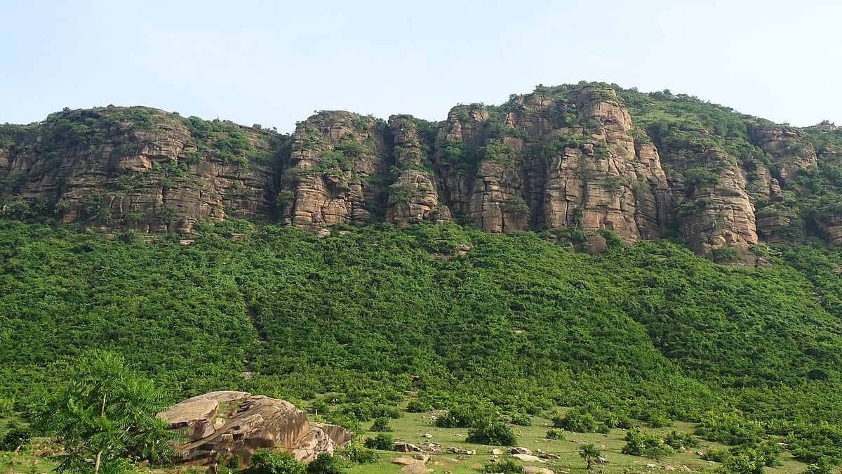 Bihar clears revised proposal to develop Kaimur Wildlife Sanctuary as ...