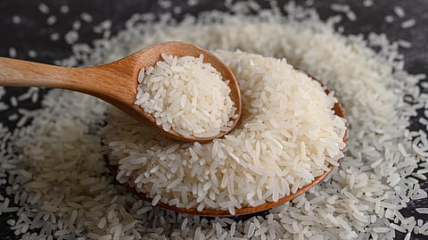 Iran unrest hits Indian basmati rice exports, prices fall sharply as ...