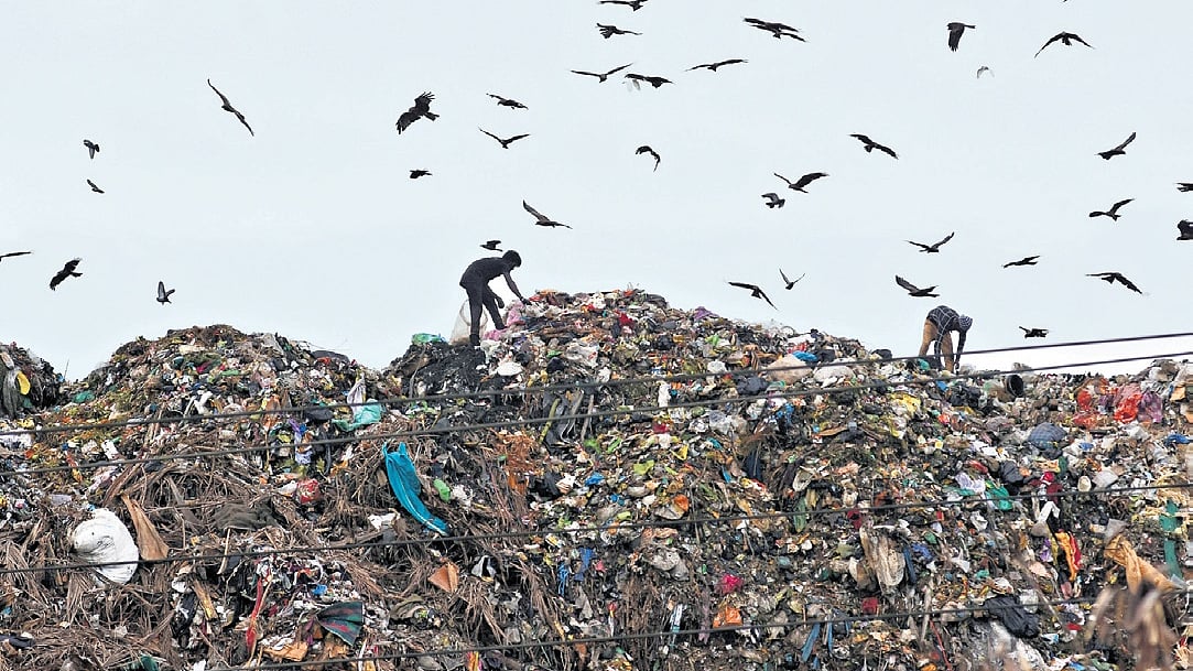 Bengaluru East City Corporation removes 100 tonnes of waste