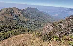 Woman techie from Kerala on trekking goes missing in Kodagu