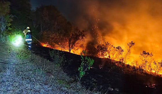 Uttarakhand sees 56 per cent surge in forest fire incidents between ...
