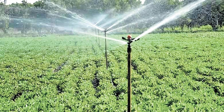 Andhra Pradesh tops nation in micro irrigation