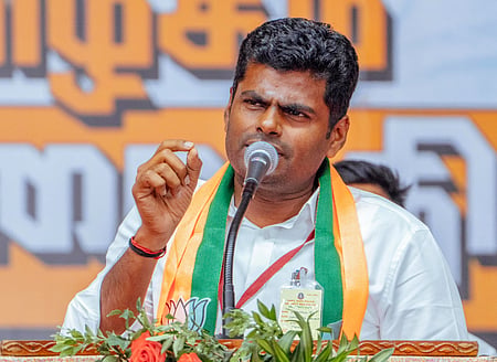 Annamalai Party Rumours Grow After TN BJP Exit, BJP Downplays Speculation