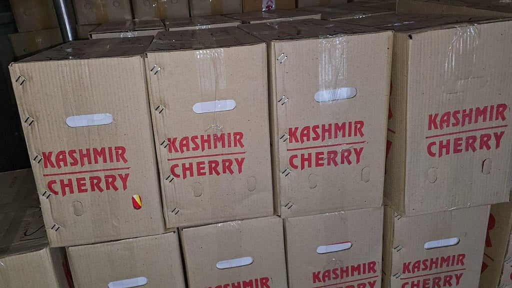 Northern Railway to transport 644 tonnes of J&K cherries to Mumbai in ...
