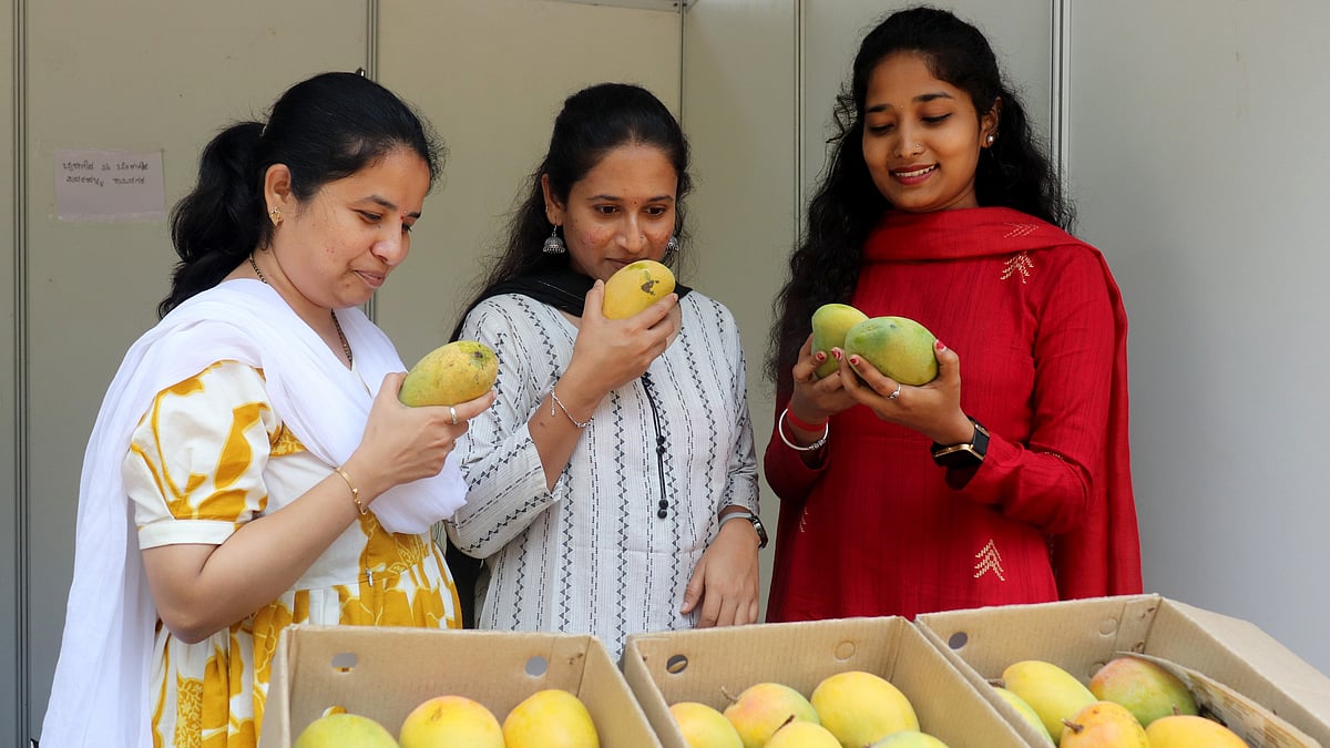 Mallika, Raspuri, Badami ... Customers spoilt for choice at Cubbon ...