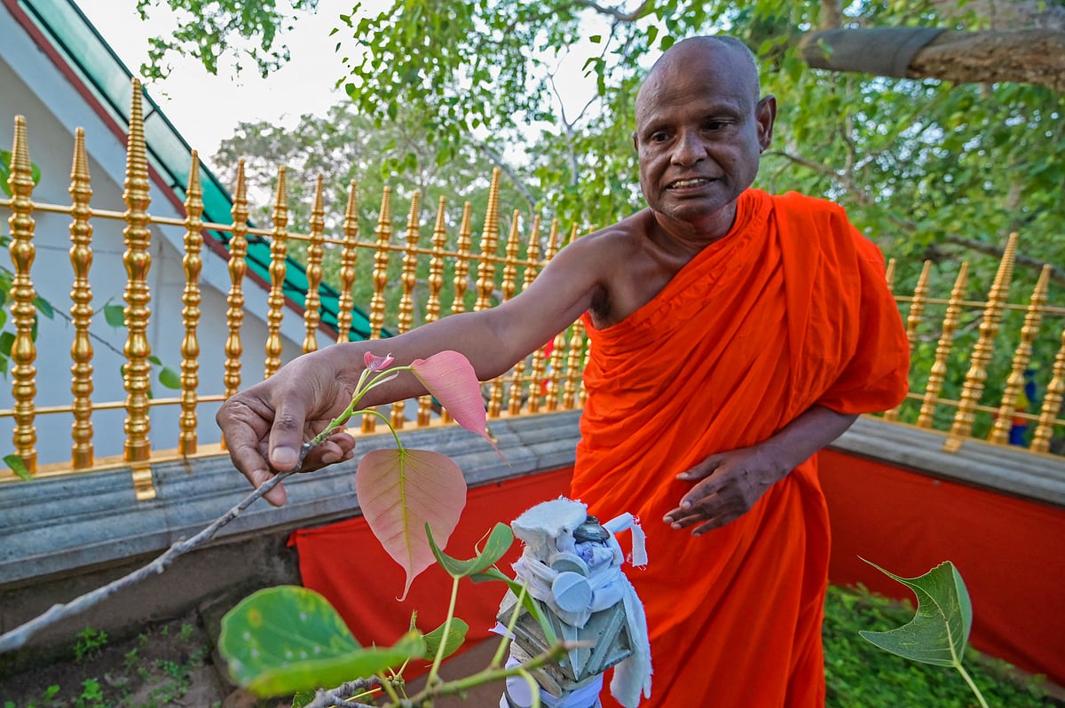 Top Sri Lankan Buddhist monk arrested over alleged sexual abuse of 11 ...