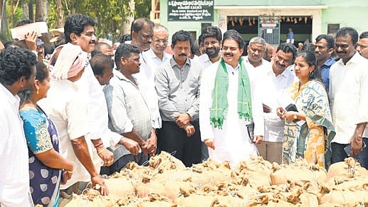 Centre clears boiled rice procurement for Andhra Pradesh