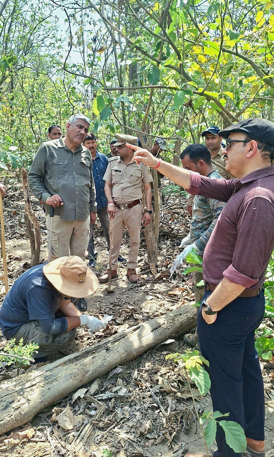 Poisoned buffalo bait used to kill two tiger cubs in Haridwar poaching case