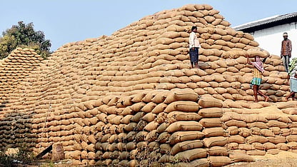 Diversifying crops to avoid Telangana's paddy glut