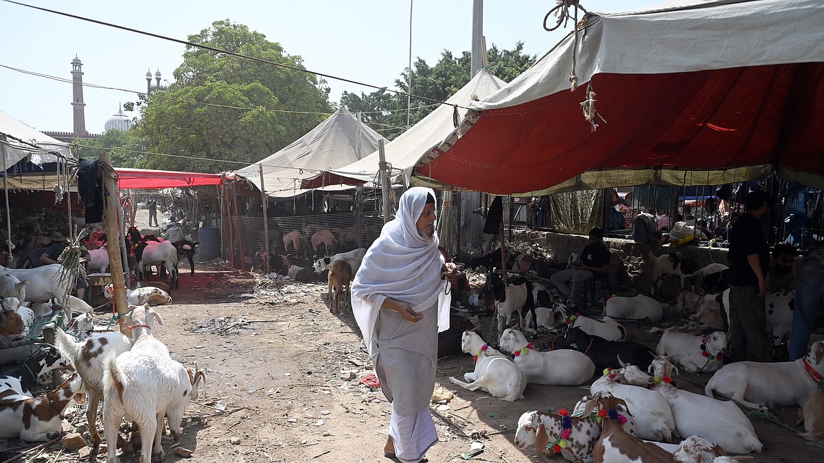 Bakrid sacrifices only at places designated by government, Says Kapil ...