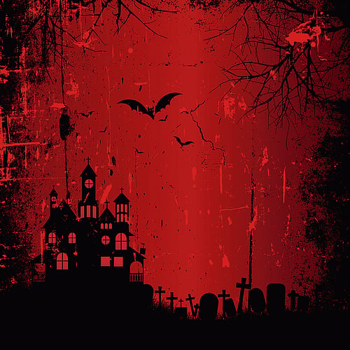 Deadly Darling: Dracula's enduring legacy even after a century