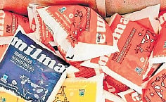 Milma milk prices revised in Kerala from today; 83.75% of hike to go ...