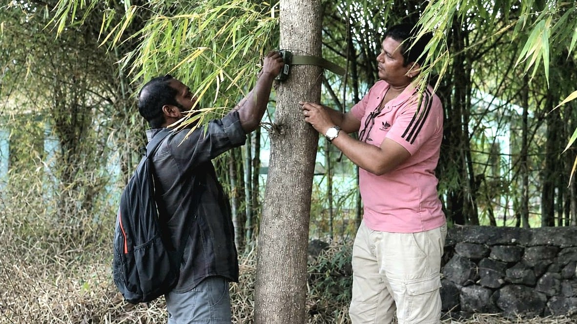 Uttarakhand's Haldwani forest division launches AI initiative to ...
