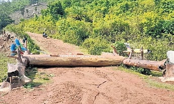 Inquiry ordered into collapse of entrance gate at Debagiri hill