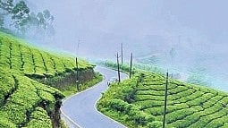 Munnar all set for major tourism framework, facility upgrades