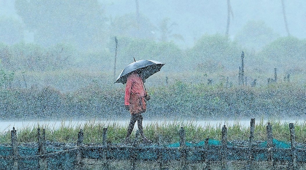Heavy rain, drought on mind Kerala adopts cautious monsoon strategy