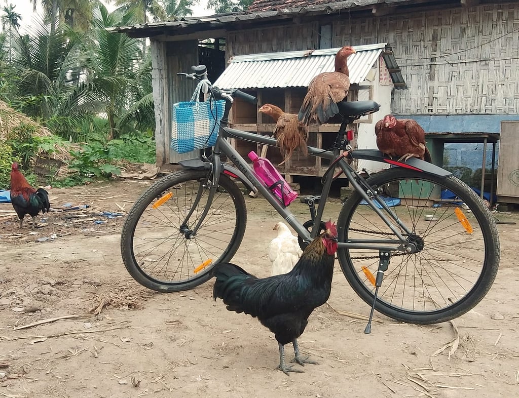 World Environment Day: Taking the green route to farm life