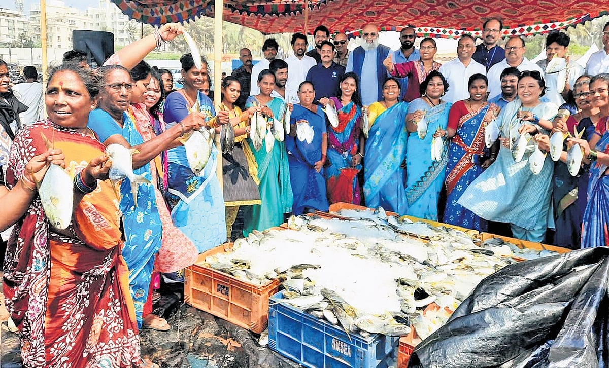Four tonnes pompano haul showcases future of open-sea fish farming in ...