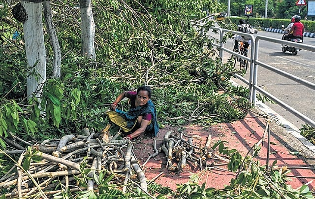 Biggest thunderstorm since Cyclone Fani batters Bhubaneswar; 5,000 ...