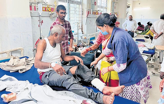 Nellore pilgrims