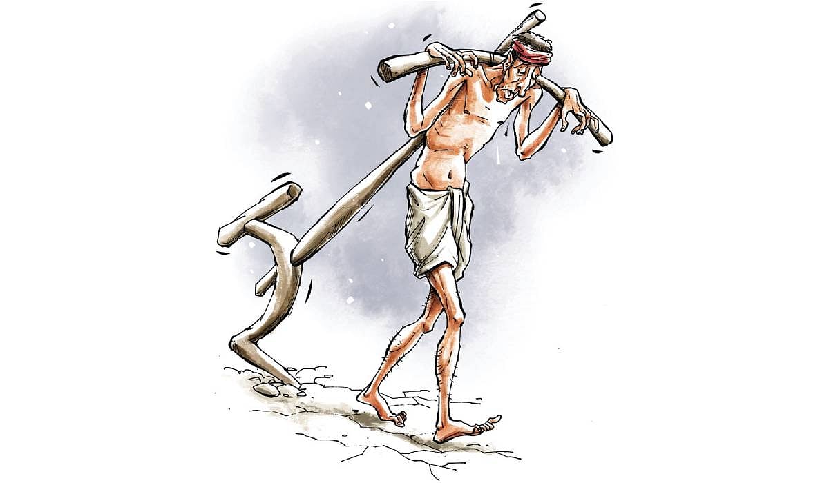 High rents, low support push tenant farmers into debt in Telangana
