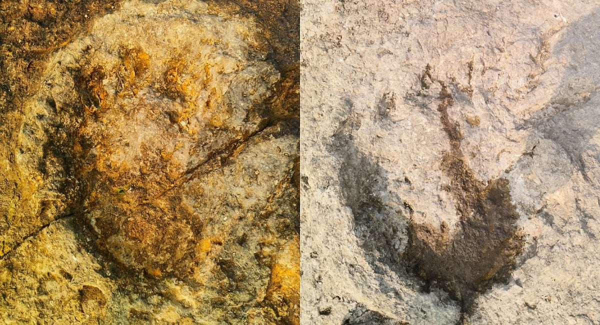 Dinos long gone... will their footprints survive?