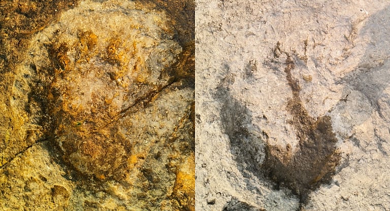 Dinos long gone... will their footprints survive?