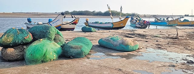 Andhra Pradesh: Fishermen await rich catches as 61-day ban is set to ...