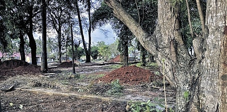 Shut for a year, Priyadarshini Park in Kochi stirs to life with ...