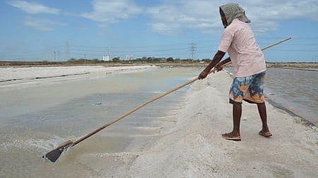 Salt pan owners urge TN govt to drop shipbuilding project along ...