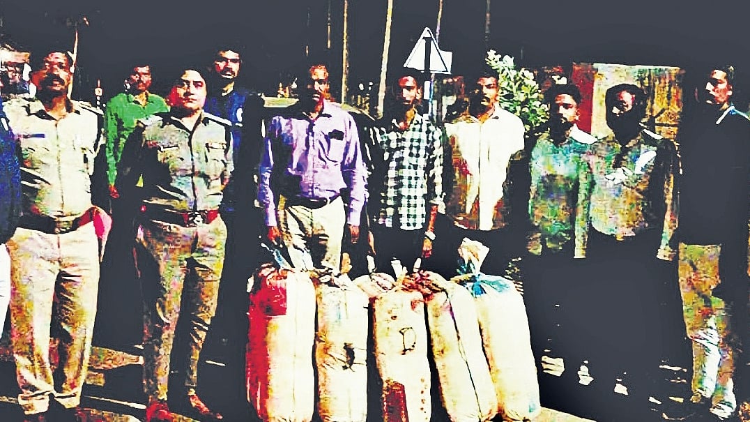 Mysuru emerges as ganja transit hub